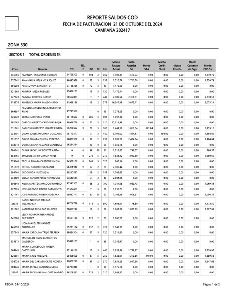 Reporte Saldos Cod: Fecha de Facturacion 21 de Octubre Del 2024 CAMPAÑA 202417 ZONA 330 | PDF