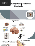 HINTS para Diagnóstico de Vertigem | PDF | Vertigem | Sistema vestibular