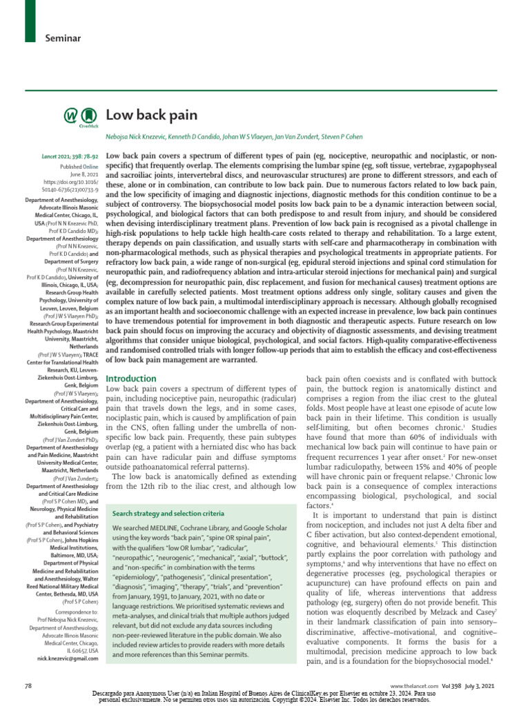 Low Back Pain | PDF | Back Pain | Vertebral Column