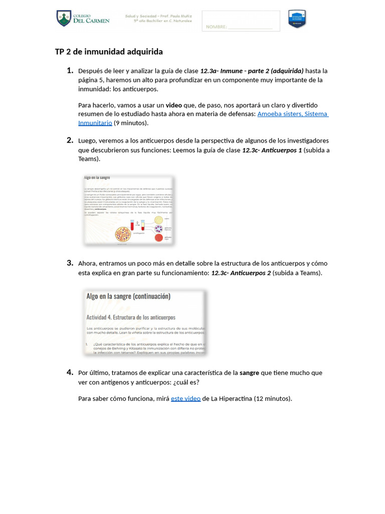 12.3c - TP 2 de SIA - Aanticuerpos y Repaso Ha | PDF