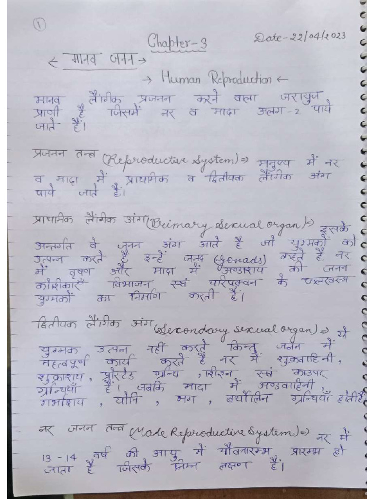 Chapter 3 Biology Human Reproduction 12 Class | PDF