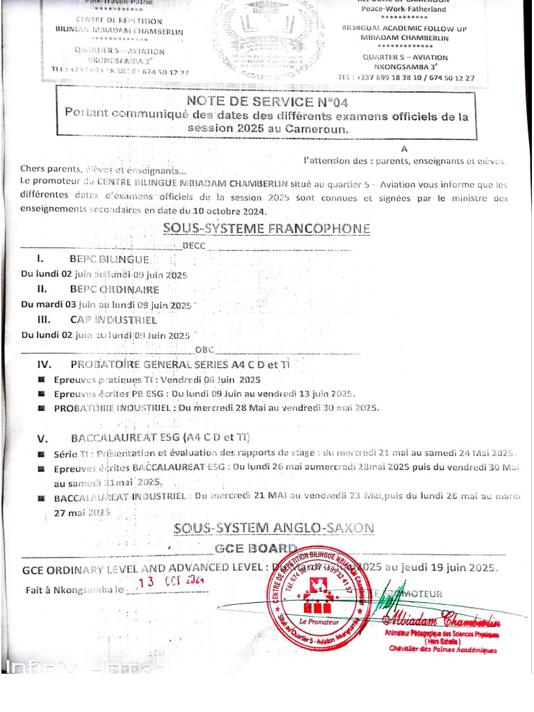 ACE Scanner_2024_10_13 | PDF