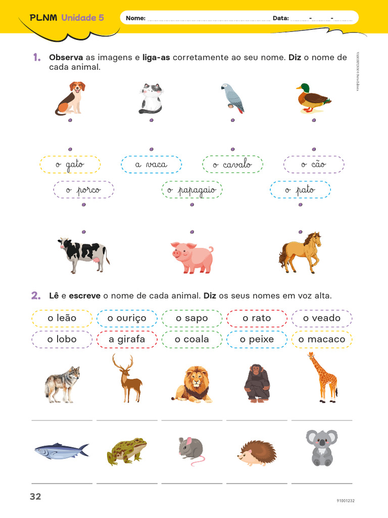 Vam1 PLNM Fichas Animais | PDF