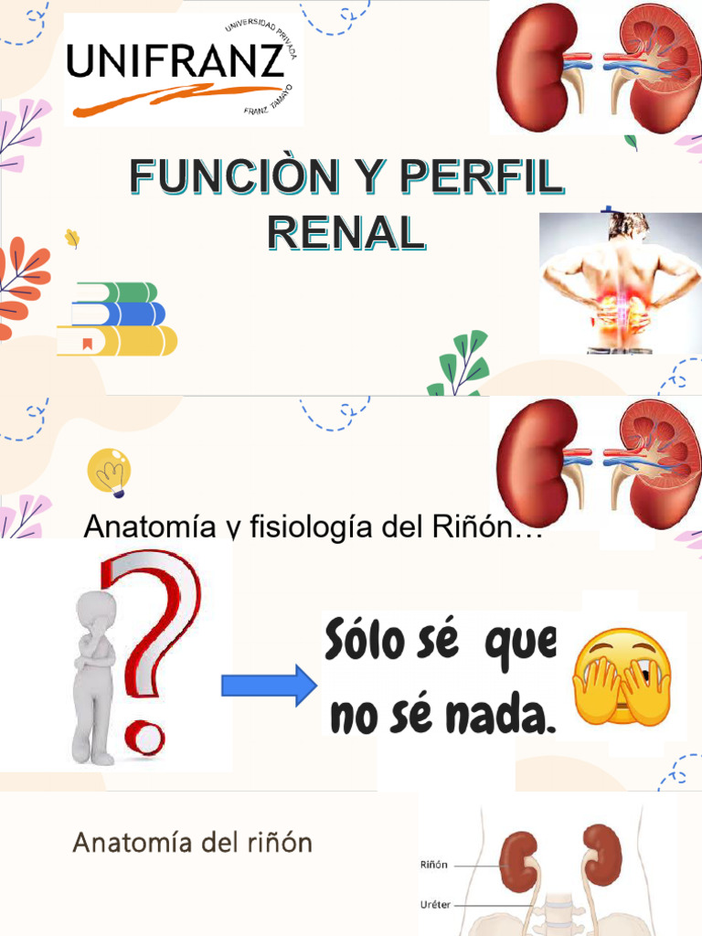 Tema Funcion y Perfil Renal II-2024 | PDF | Riñón | Orina