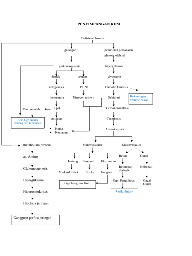 Penyimpangan KDM DM | PDF