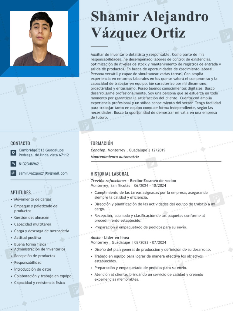 Samir CV 2 | PDF