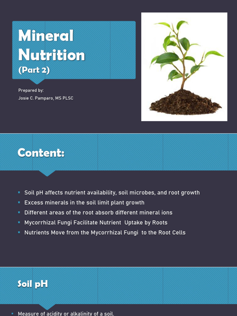 Soil pH and Mineral Nutrient Dynamics | PDF | Soil | Microorganism