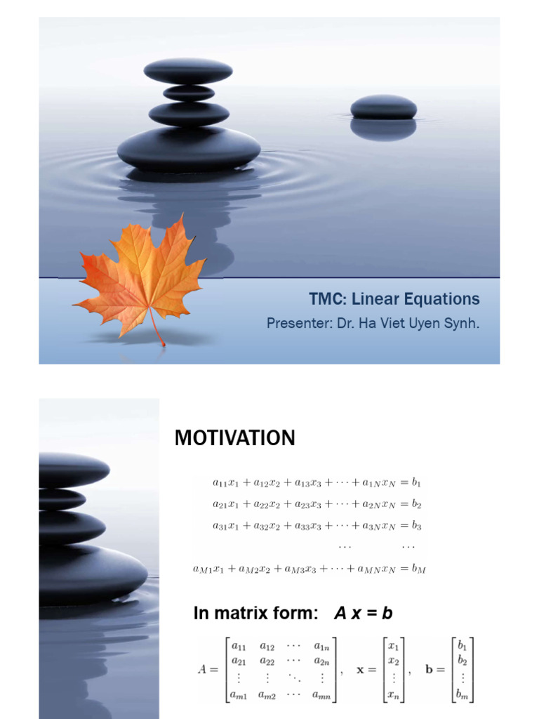 US_TMC_04_Linear Equations _ 2024 | PDF | Matrix (Mathematics ...