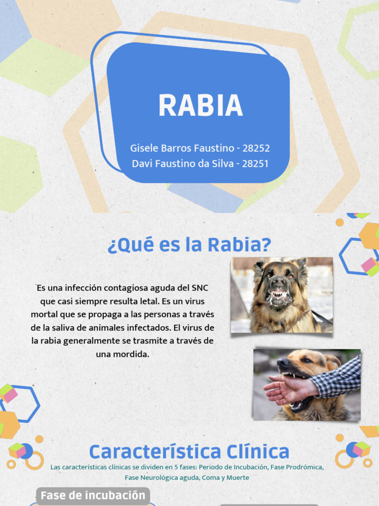RABIA | PDF | Rabia | Salud pública