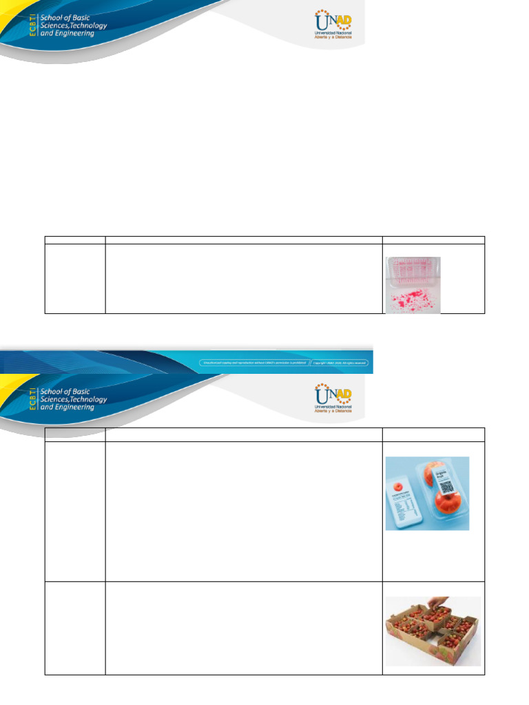 Appendix 2 - Delivery Format Phase - Cluster - 1 | PDF | Strawberry
