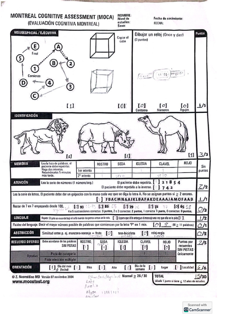 Protocolo MOCA Equipo1 | PDF