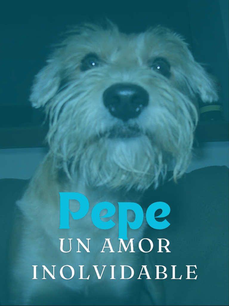 PEPE | PDF
