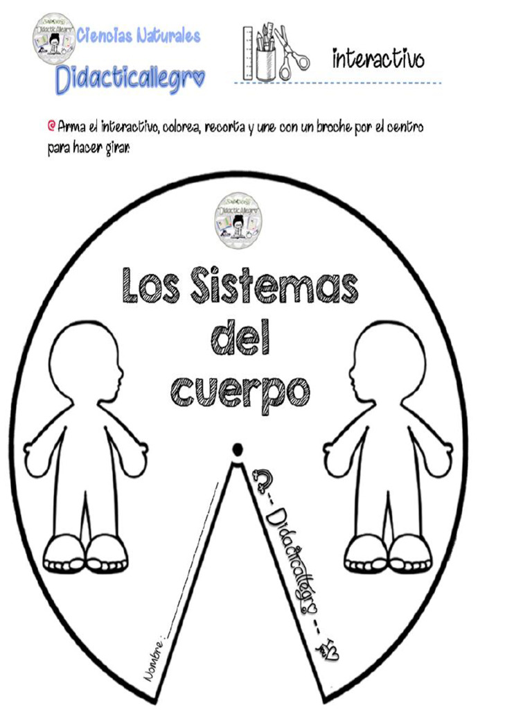 Ruletas I Stem As Cuerpo Meep | PDF