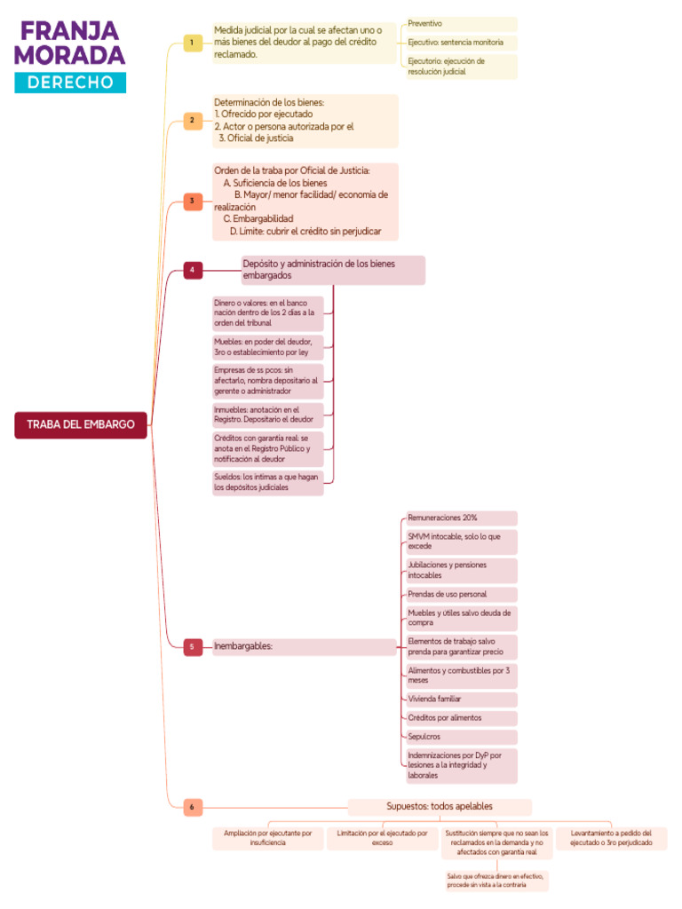 TRABA DEL EMBARGO - Watermark | PDF | Dinero | Bienes