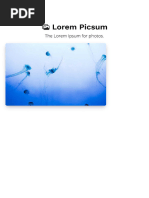 Lorem Picsum API Overview | PDF | Software Engineering | Internet