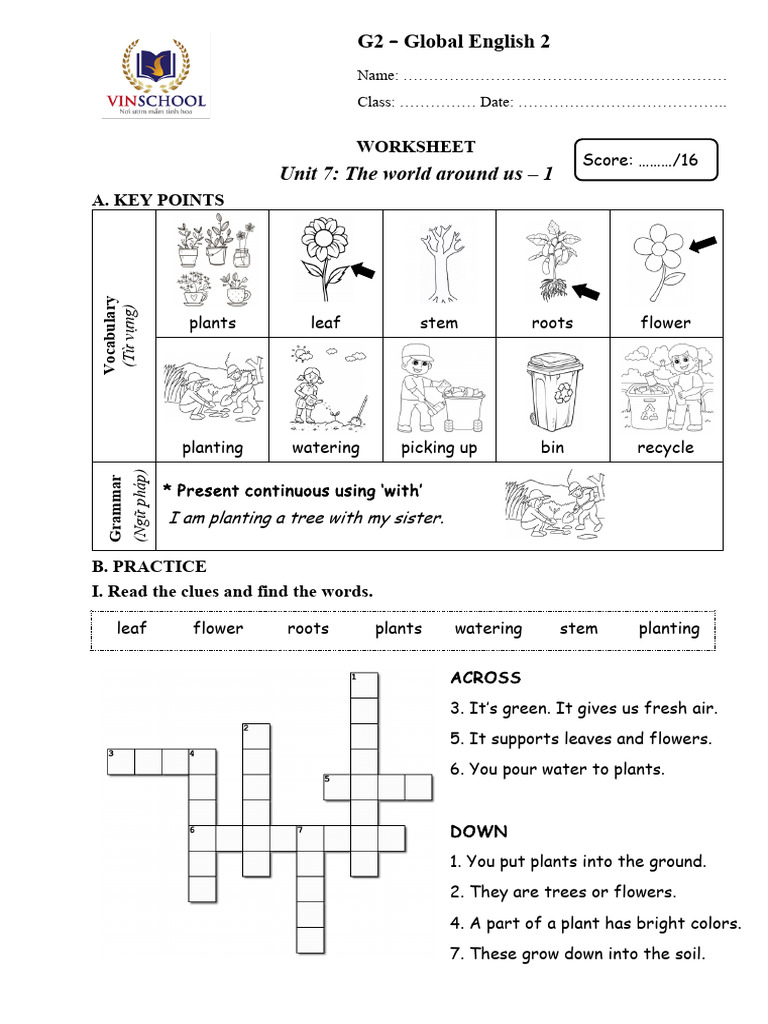 S2.W24.U7.WS (Grade 2) | PDF | Branches Of Botany | Botany