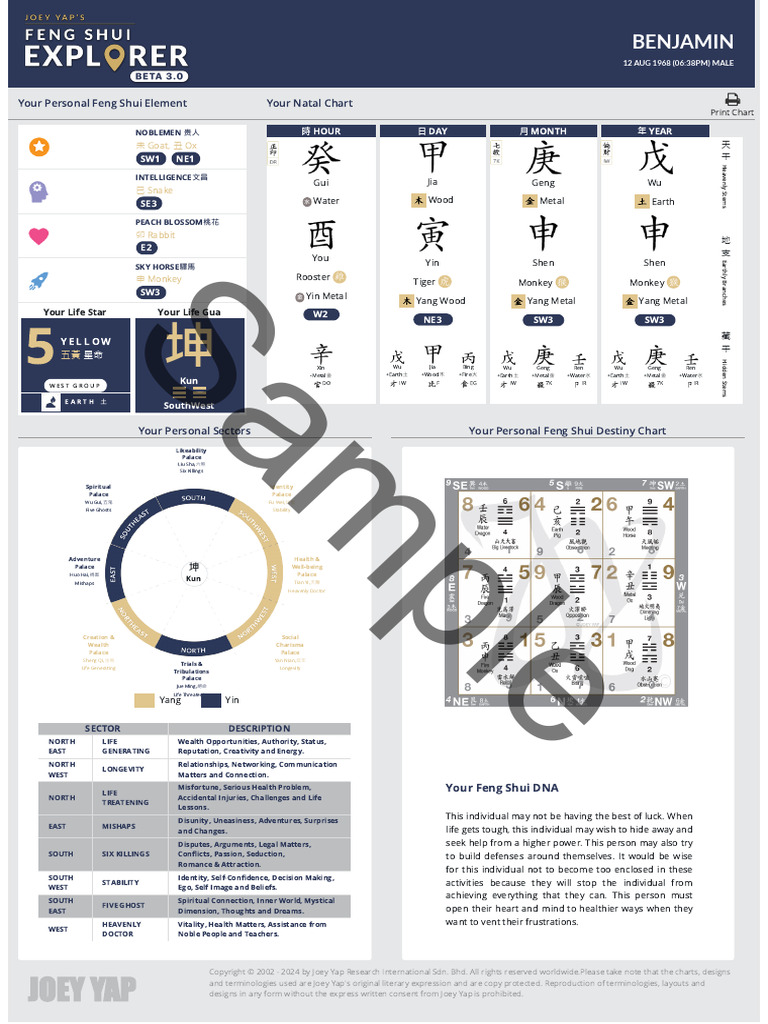 Sample: Joey Yap | PDF | Psychological Resilience