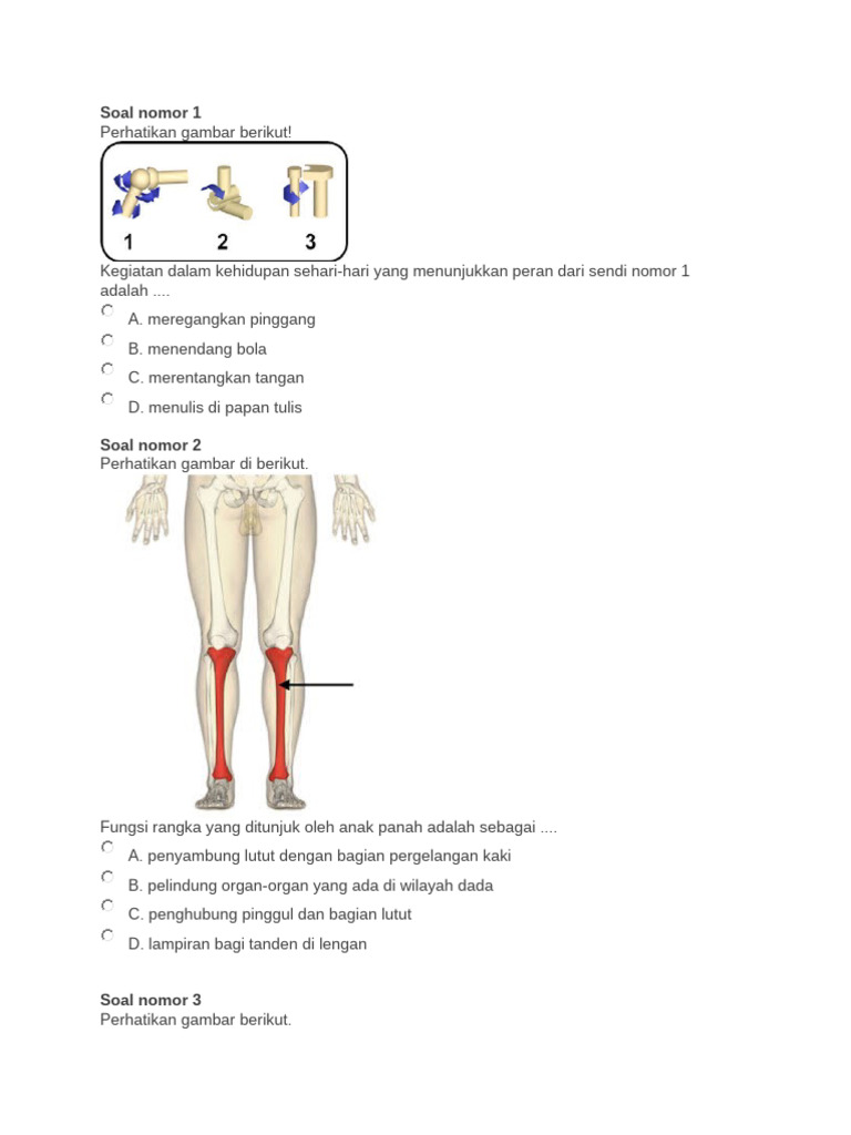 Soal Rangka Otot Sendi | PDF