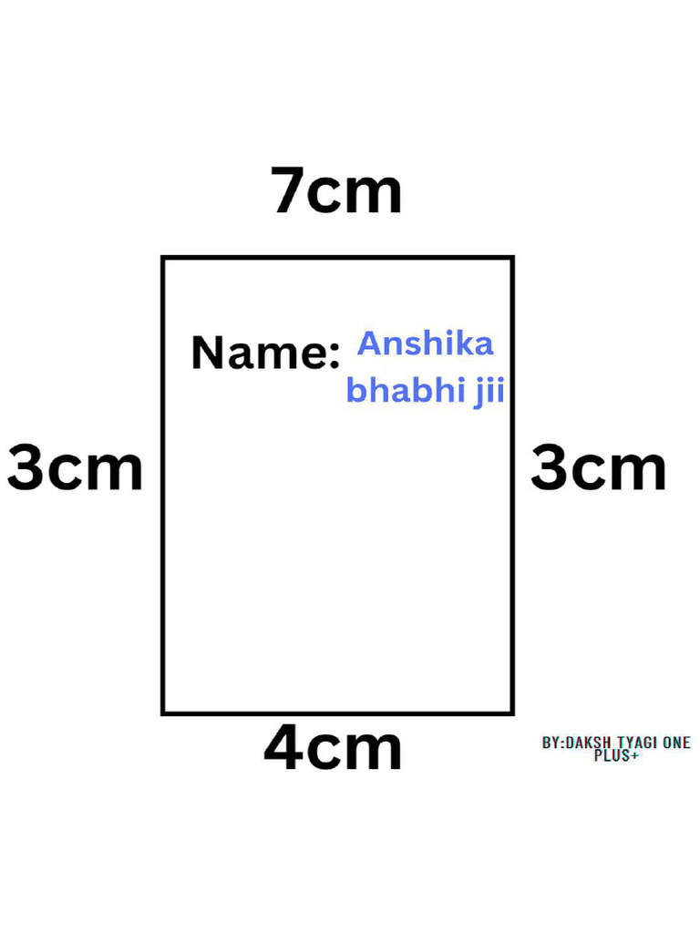 Daksh Tyagi One Plus+ | PDF