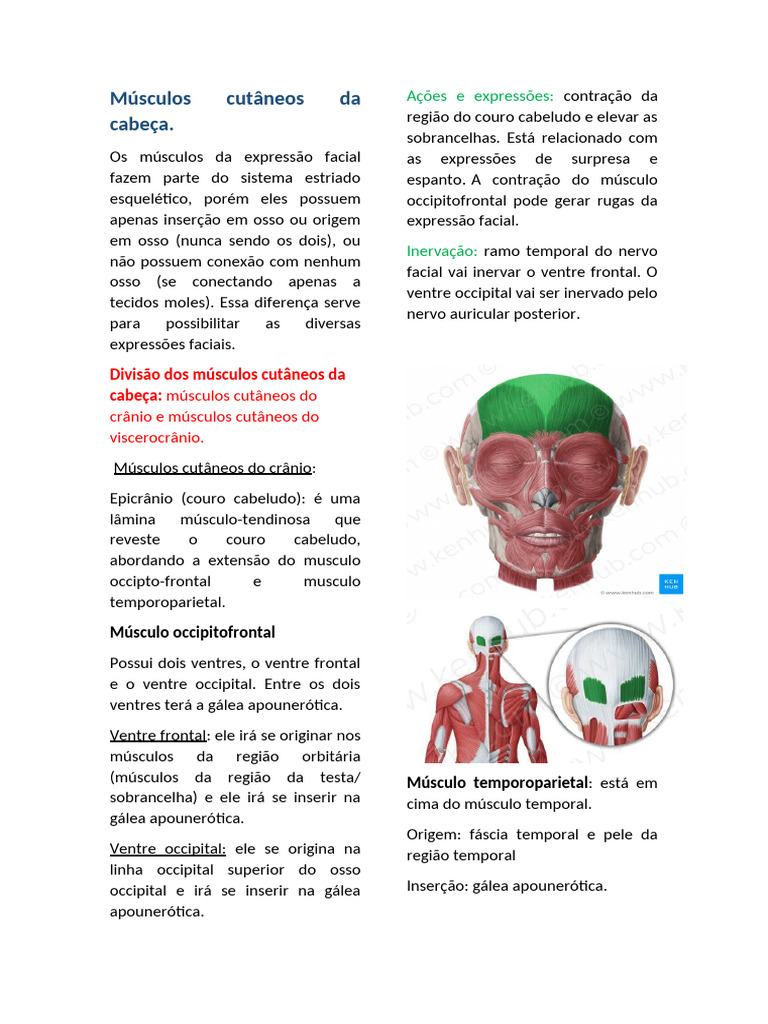 Musc Da Mimica Facial | PDF | Músculo | Anatomia