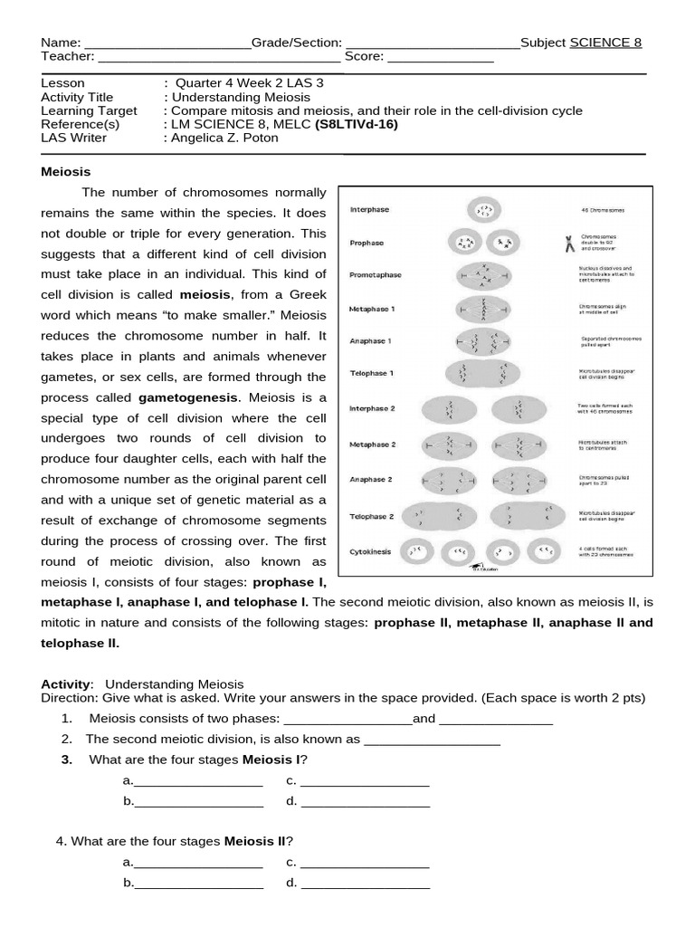 Q4 Science8 Week2 LAS3 | PDF