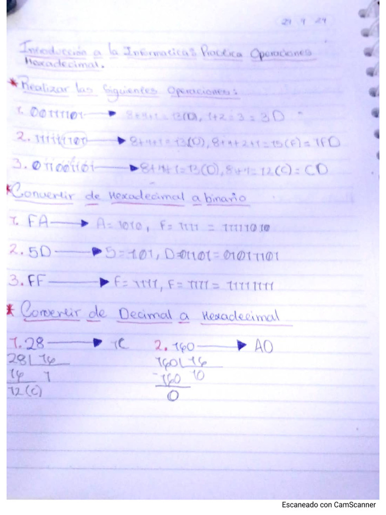 Práctica Operaciones Sistema Hexadecimal | PDF