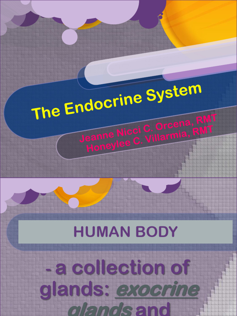 Midterms 3rd PPT Endocrine System | PDF | Endocrine System | Adrenal Gland