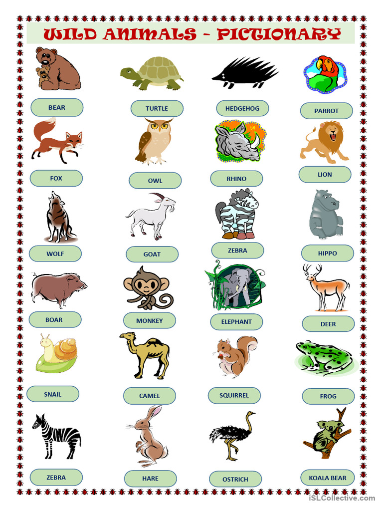 Wild Animals Pictionary | PDF