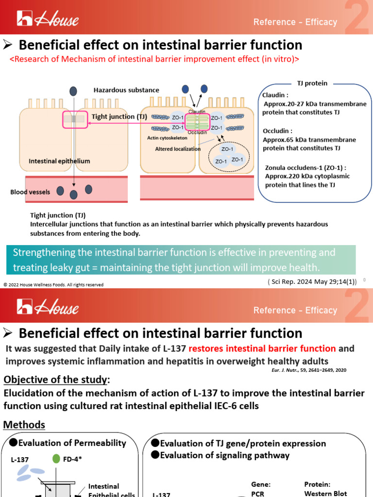 2407 Beneficial Effect On Intestinal Barrier Function | PDF | Cell ...
