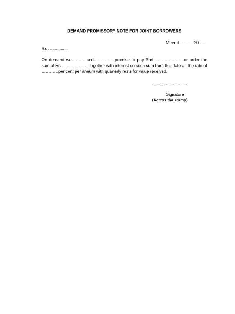 Joint Borrowers Promissory Note | PDF