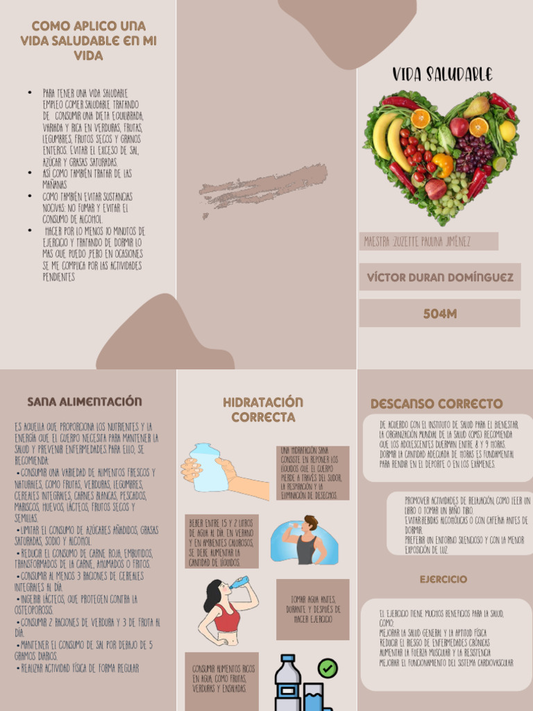 TRIPTICO Vida Saludable | PDF