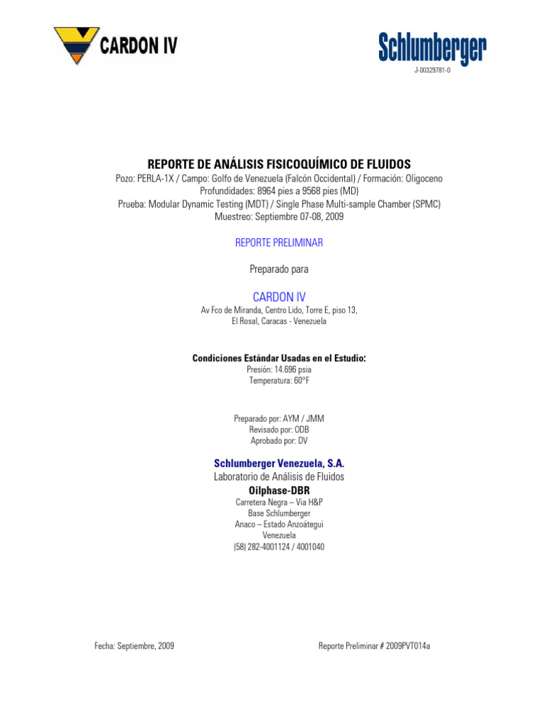 PVT014a CARDON IV PERLA-1X - OLIGOCENO Reporte Preliminar | PDF ...