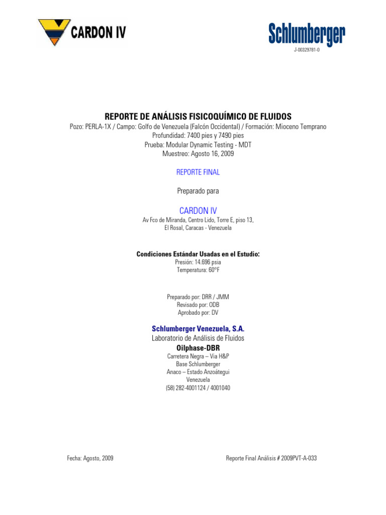 PVT-A-033 CARDON IV PERLA-1X - 7400-7490 - Pies Reporte Final | PDF ...