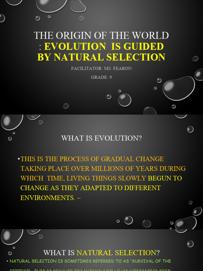 Evidence Supporting Evolution | PDF | Science & Mathematics