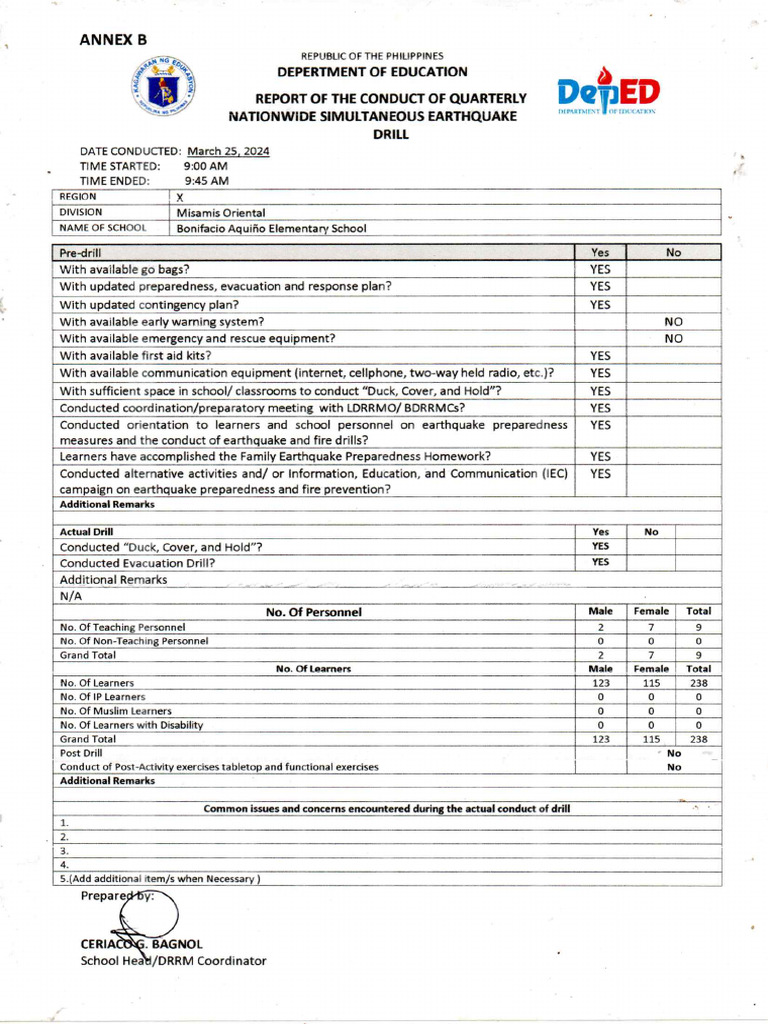 BAES - NSED Report | PDF
