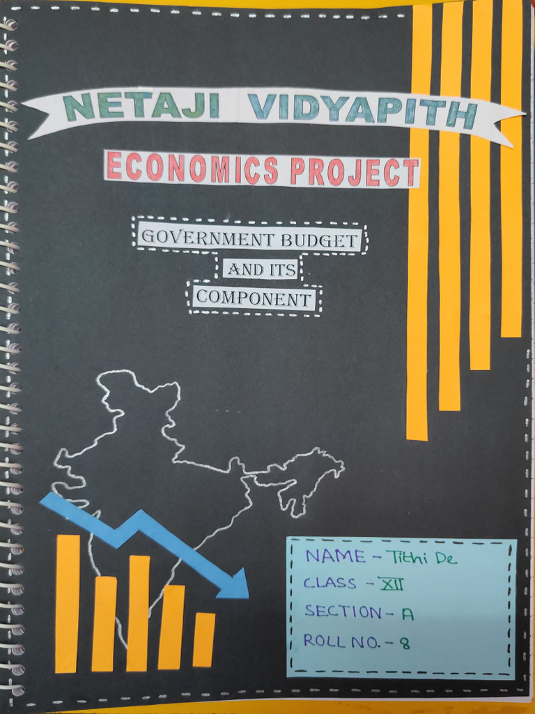 Eco Project On Government Budget | PDF
