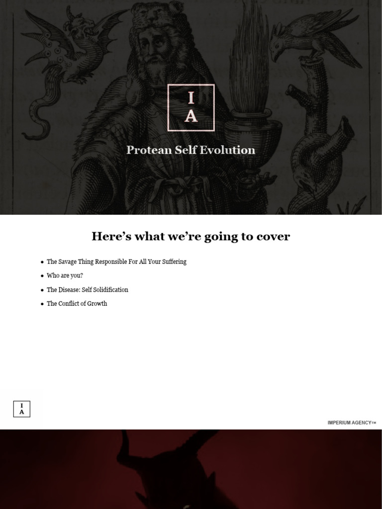 3 (Slides) Protean Self Evolution | PDF | Experience | Perception