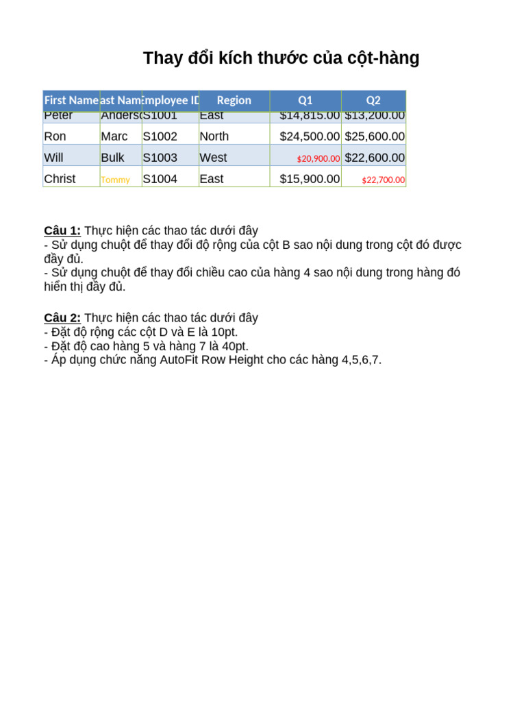 Bt18.thay Doi Kich Thuoc Cua Cot Hang | PDF