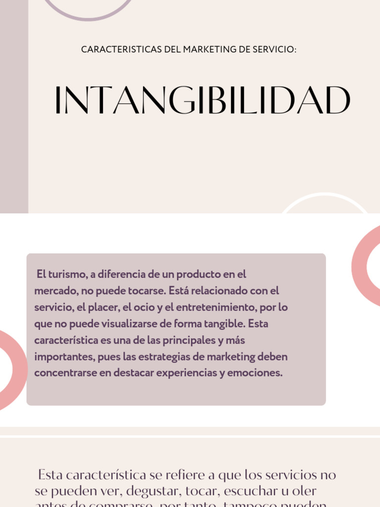 Intangibilidad | PDF