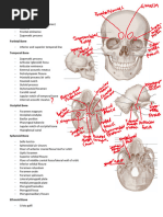 Common Bone Markings | PDF
