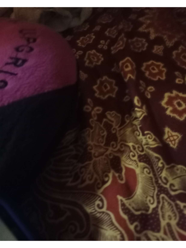 Img 20241029 095815 | PDF