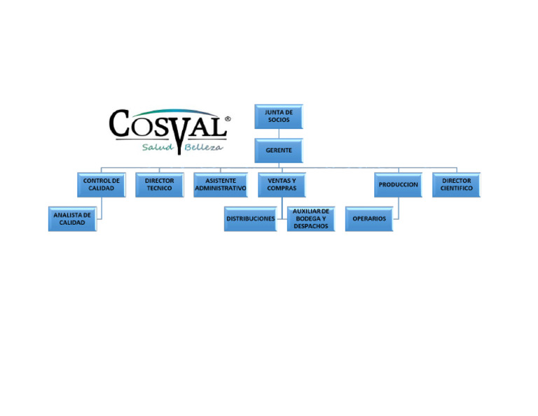 Organigrama Cosval | PDF