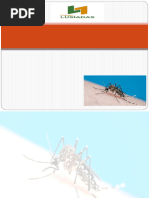 Tynna Bula, para Que Serve e Como Usar CR | PDF | Doenças e distúrbios ...