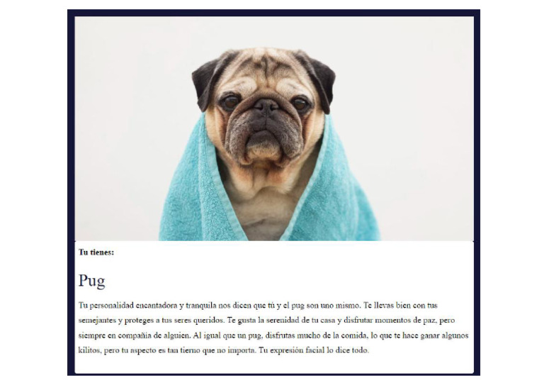 pug | PDF