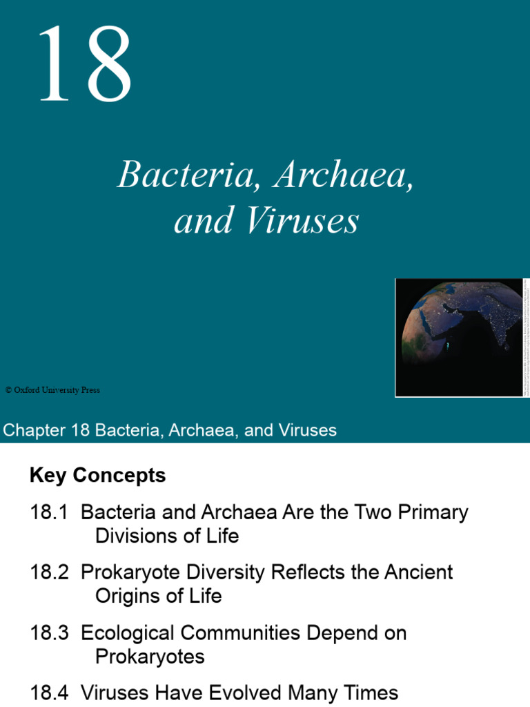Chapter 18 | PDF | Bacteria | Archaea