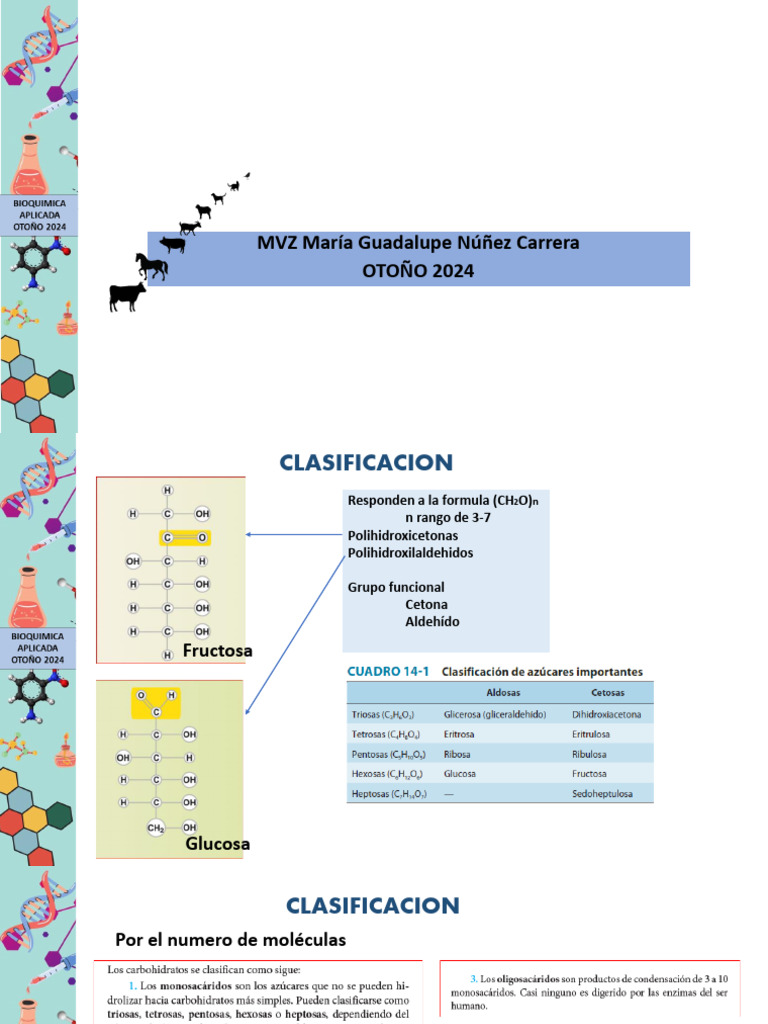 4 Bioq Quimica de Los Carbohidratos | PDF | Polisacárido | Glucosa