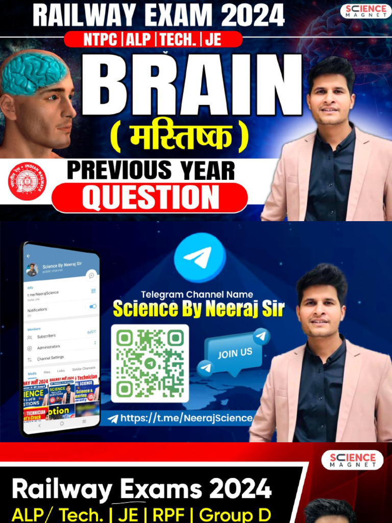 Human Brain PYQ | PDF