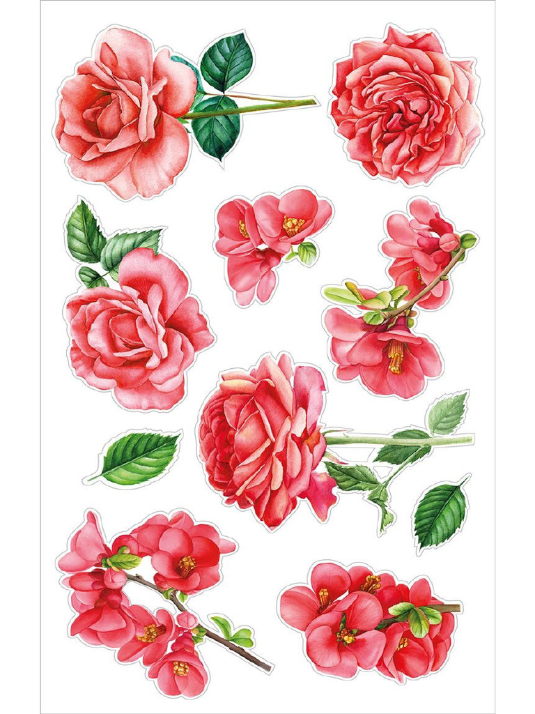 All PDF Reader 20241024 21.51.08 | PDF