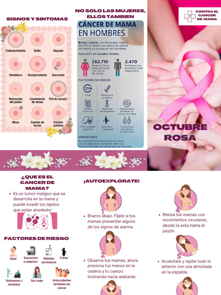 Triptico Cancer de Mama Sencillo Rosa y Blanco | PDF