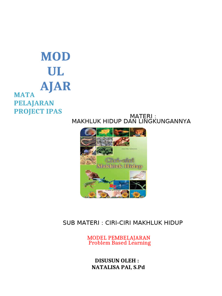 Modul Natalisa Pai Ipas PPG | PDF | Sains & Matematika